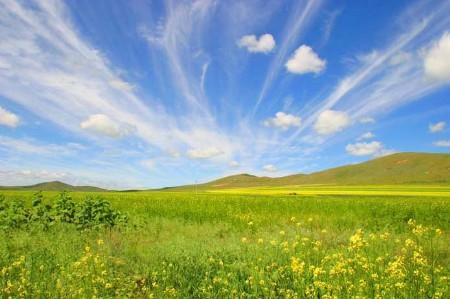 Xilinguole National Natural Reserve in Inner Mongolia CCTV-International