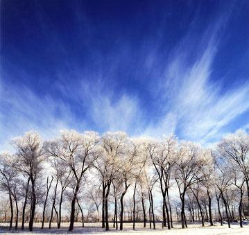 Xilinguole National Natural Reserve in Inner Mongolia CCTV-International