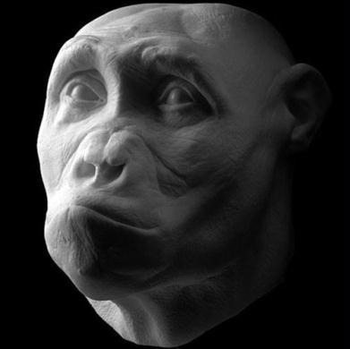 DNA from Sebria may signal new species of human ancestor CCTV-International