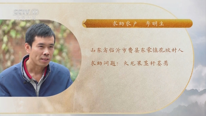 《田间示范秀》 20230424 火红的甜蜜
