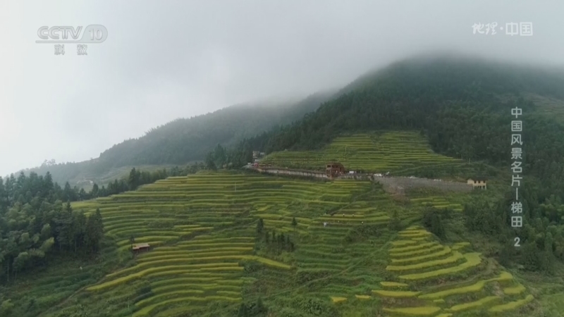 《地理·中国》 20260705 中国风景名片——梯田2