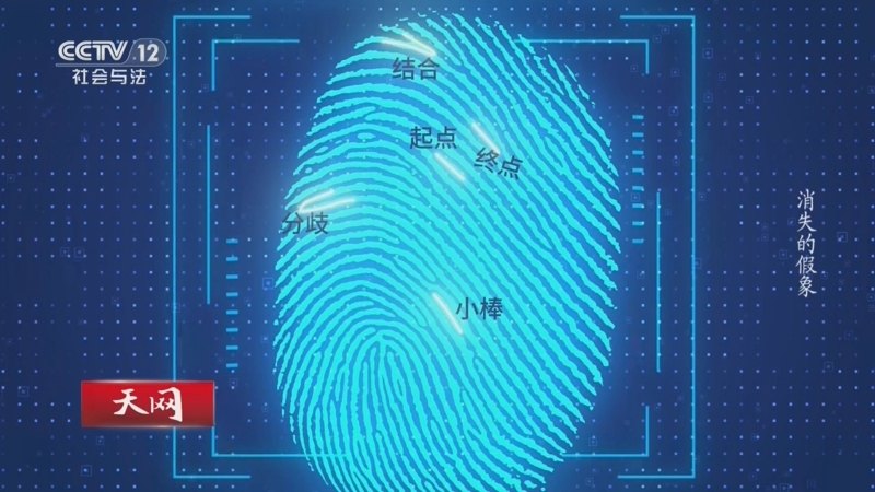 《天网》 20260708 消失的假象