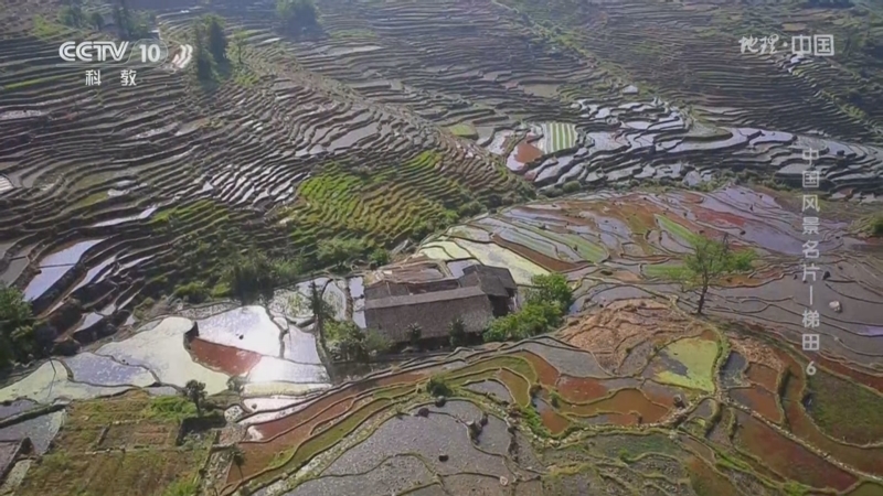 《地理·中国》 20260709 中国风景名片——梯田6