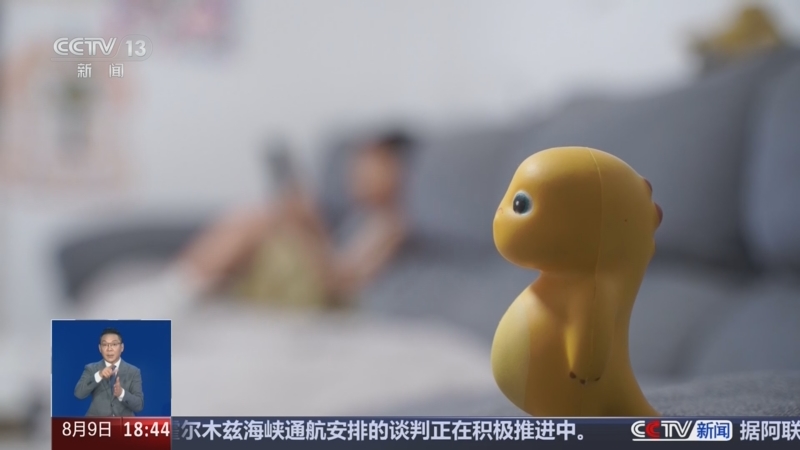 《共同关注》 20260809