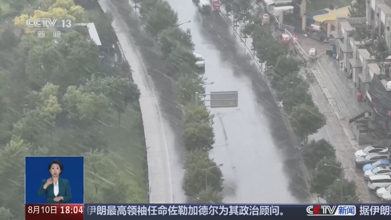 《共同关注》 20260810