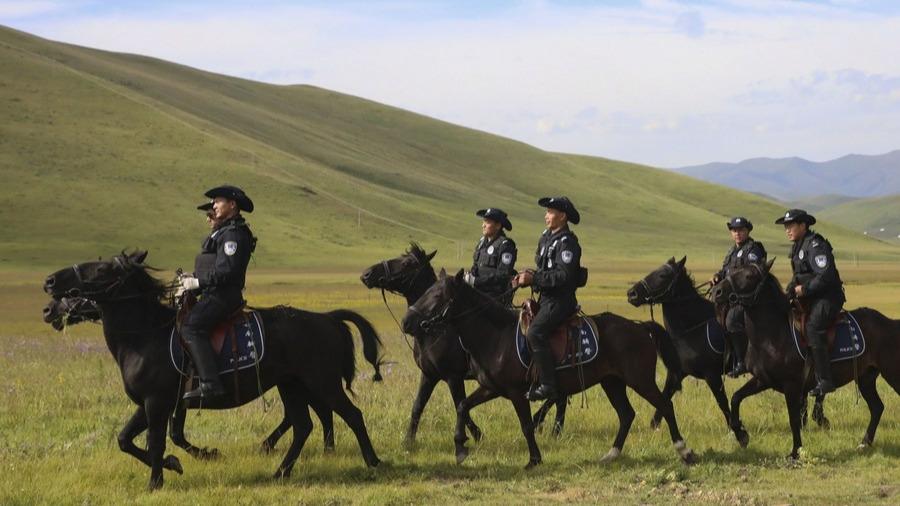 Mounted police, guardians of the grassland_英语频道_央视网(cctv.com)