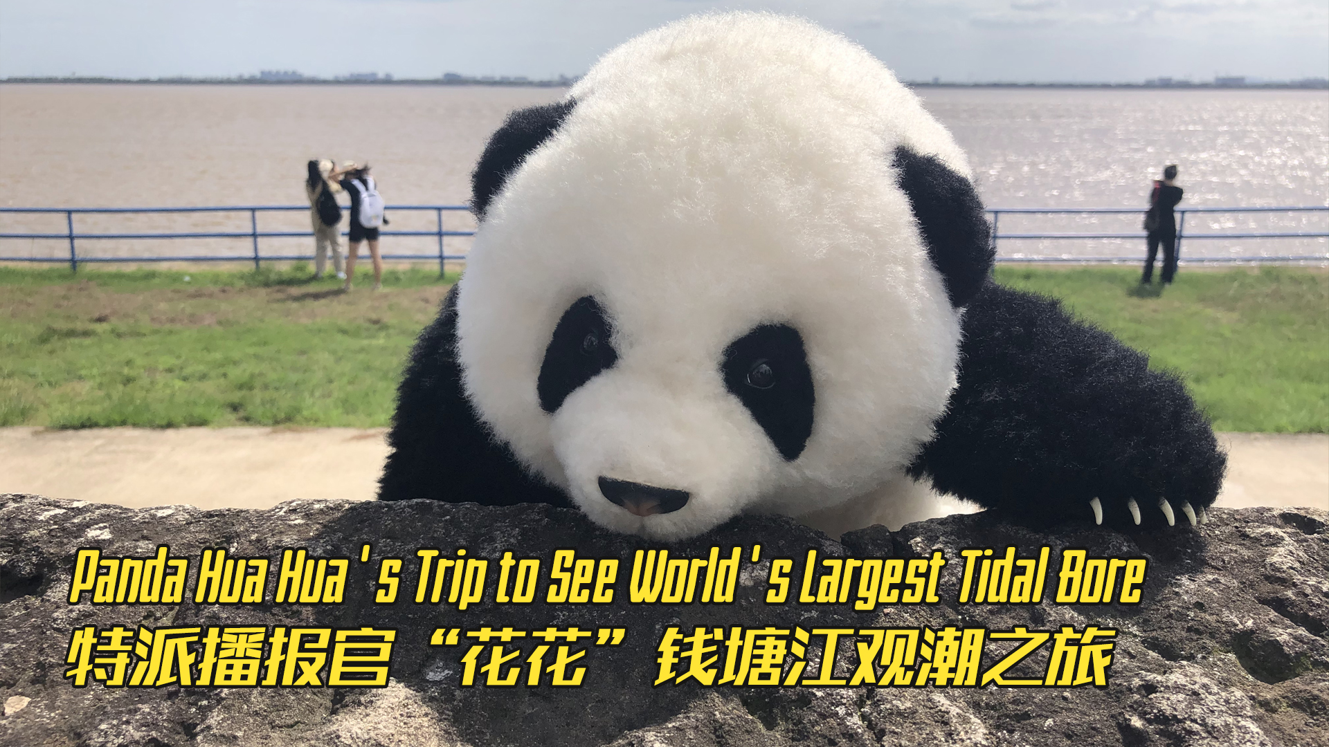 Panda Hua Hua's trip to see world's largest tidal bore_英语频道_央视网(cctv.com)